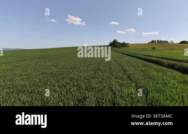 An aerial view of green rolling fields, meadows and forested hills of ...