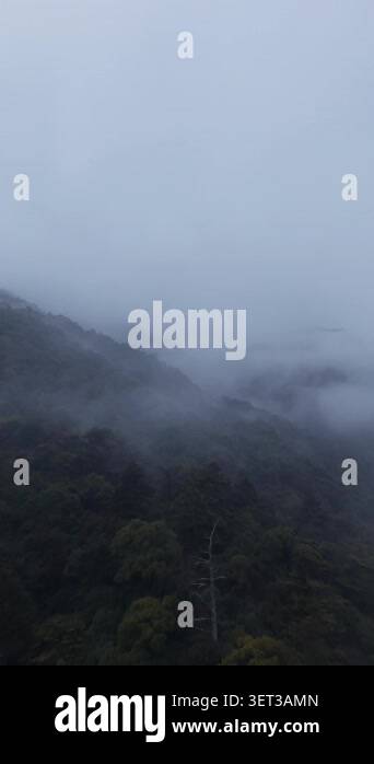 An aerial view of a misty island coastline, forested mountains and the ...