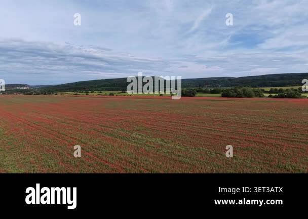 An aerial view of green rolling fields, meadows and forested hills of ...