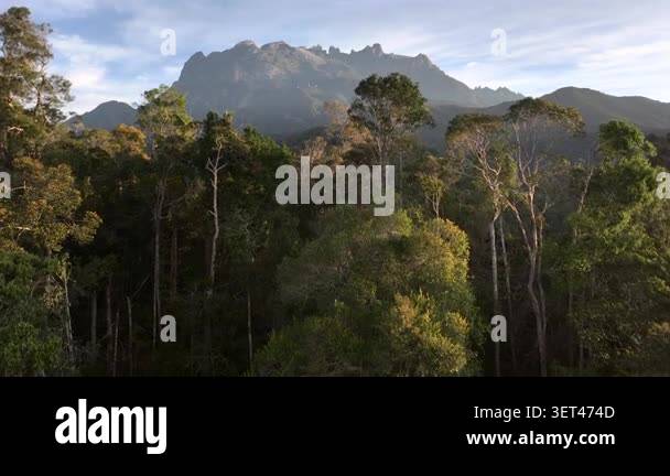 View of Mount Kinabalu through a Lush green Rainforest hills in Sabah ...