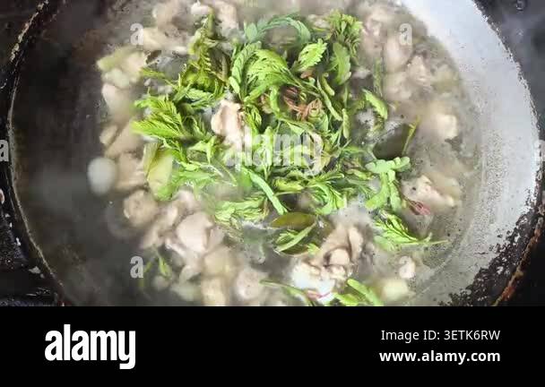 Cooking Tom Kha Gai in pan, Thai famous food Stock Video Footage - Alamy