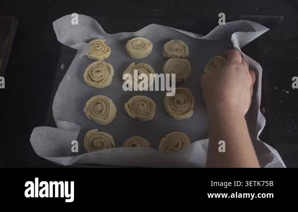 Female hands arranging raw cinnamon sugar rolls on a baking tray lined ...