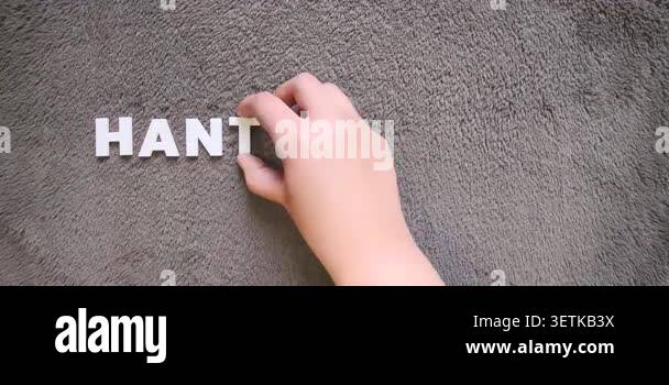 the word hantaviridae written with white capital letters in a gray ...