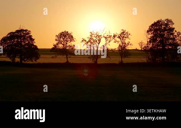 Tree silhouettes framed by glowing sunset above rolling farmland ...