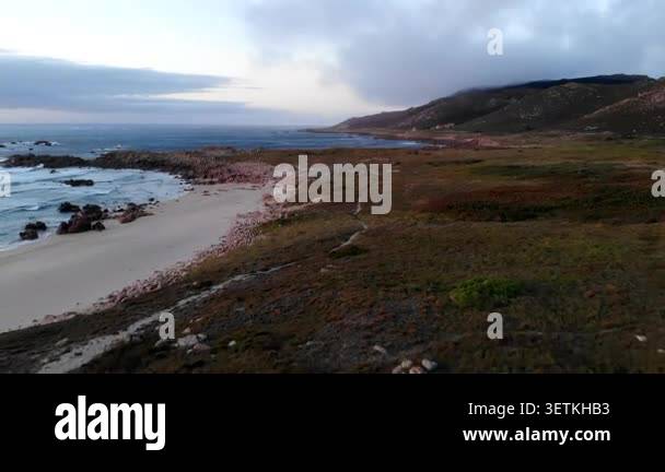 Wide aerial view of a rugged coastline with a sandy beach, dark rocks ...