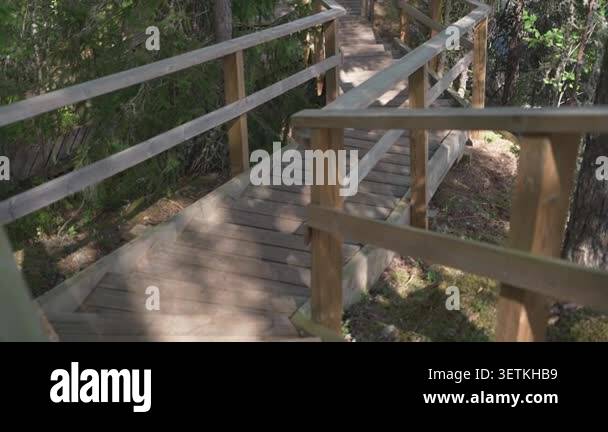 Wooden staircase leading down along a nature trail in a Finnish forest ...