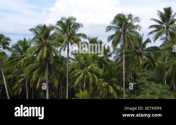 Drone aerial footage of Eastern Mindanao, Philippines featuring ...