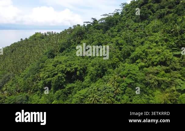 Drone aerial footage of Eastern Mindanao, Philippines featuring ...