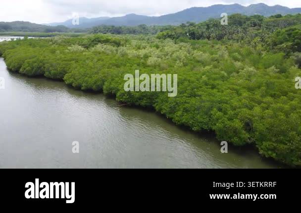 Drone aerial footage of Eastern Mindanao, Philippines featuring ...