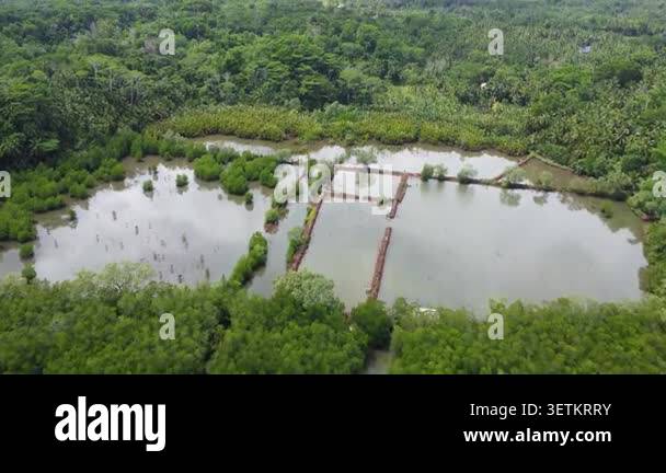 Drone aerial footage of Eastern Mindanao, Philippines featuring ...
