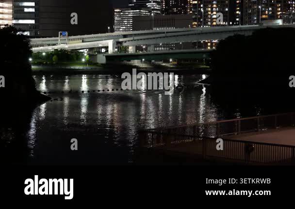 Ariake Shinsui Seaside Park, Tokyo Night May 2026 Stock Video Footage ...