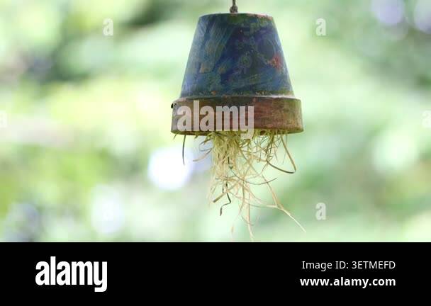 An upturned flowerpot for insects filled with wooden threads, a clay ...