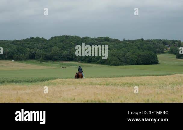 An equestrian rider sits on a brown horse while a young woman walks ...