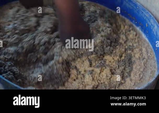 Hand Mixing Grainy Feed in Farm Container Stock Video Footage - Alamy
