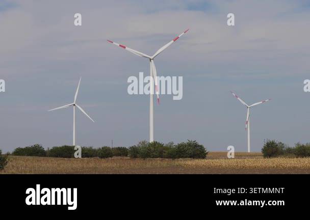 Electric Power Turbines Wind Farm in Yellow Maize Fields Renewable ...