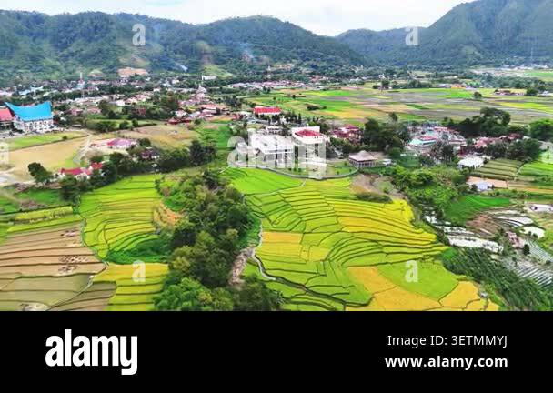 Balige, Indonesia - May 29, 2025: Cinematic aerial view of rice field ...