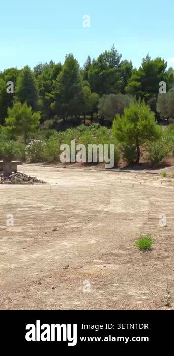 Archeological site of the ancient stadium in Nemea, Greece in a sunny ...