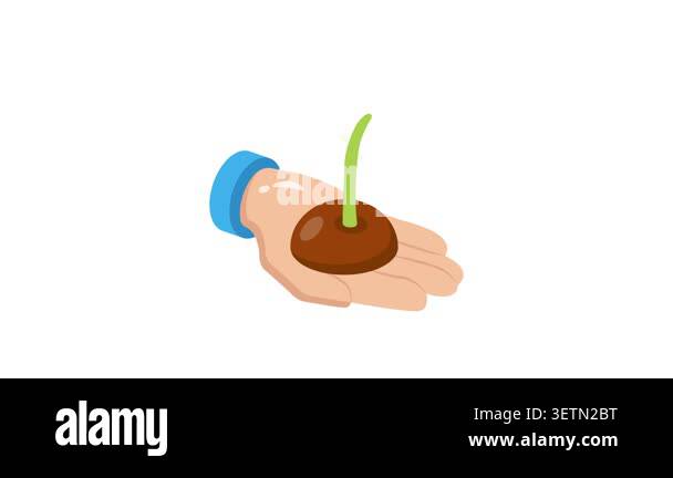 Get a glimpse of this 2d style sapling animated icon Stock Video ...
