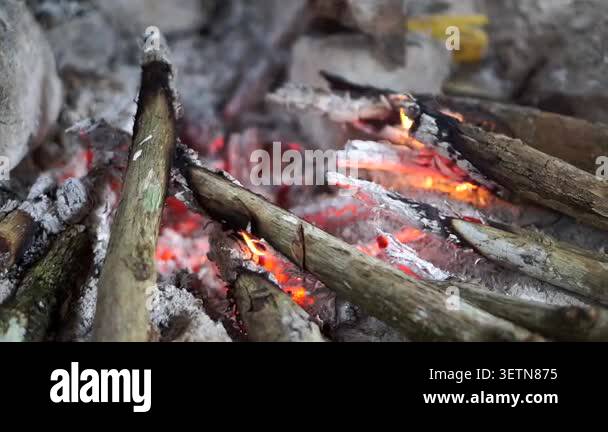 Close-up shot of bright orange flames burning traditional firewood ...