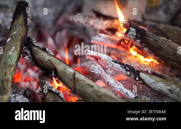 Close-up shot of bright orange flames burning traditional firewood ...