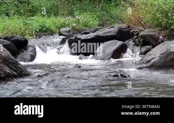 Low-angle view of a natural rocky river surrounded by wild tropical ...