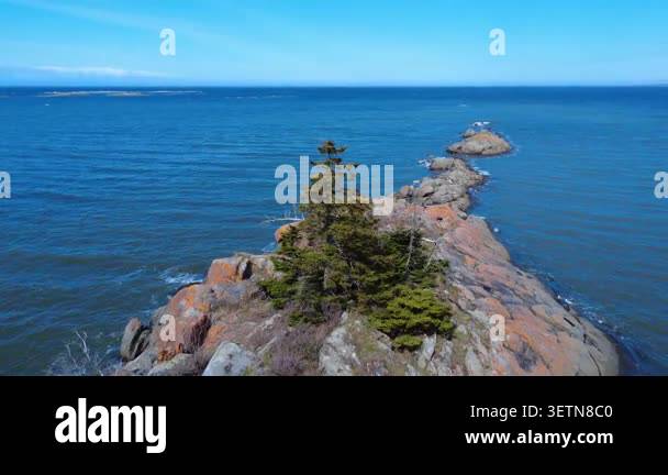 Pullback aerial sequence featuring a rugged coastal ridge, resilient ...