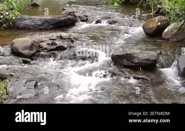 Low-angle view of a natural rocky river surrounded by wild tropical ...