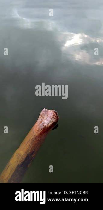 Close-up of a rustic wooden pole tip over calm lake water with cloudy ...