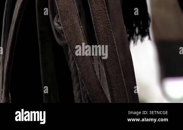 Close Up of a Gaucho Hand Holding Traditional Leather Horse Bridles ...