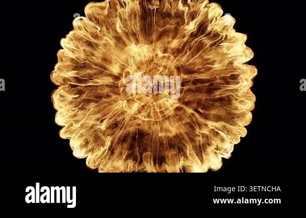 Gold Luxury Particle Explosion Overlay Transition Stock Video Footage ...