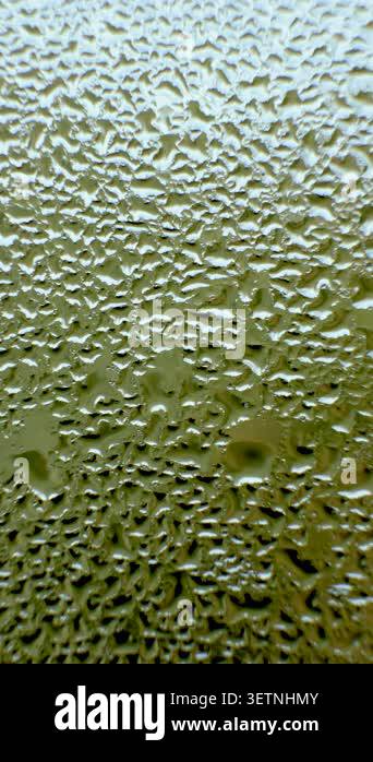 Dew drops on the glass of a window slowly disappearing as the sun rises ...
