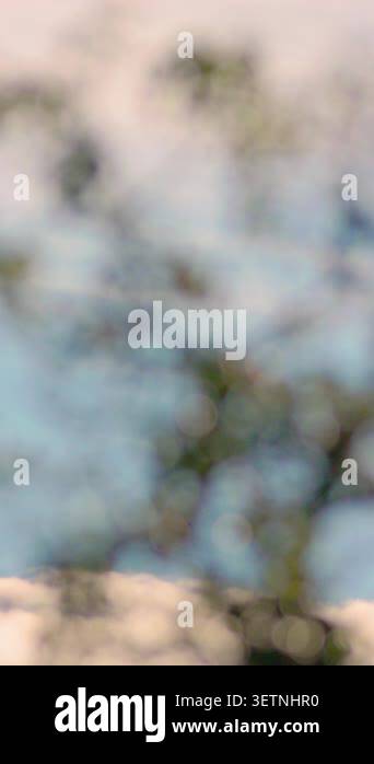 Out-of-focus foliage moved by the wind, vertical abstract video shot in ...
