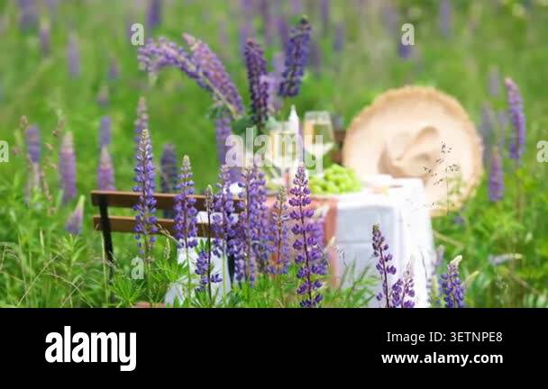 Picnic setting with wine and grapes in a field of purple flowers Stock ...