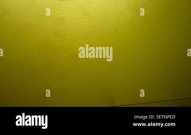 Ice cold sorbet machine mixing fruit juice. Freezing slush spinning ...