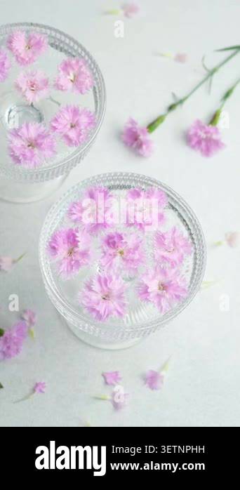 Pink carnation flowers floating in clear glass bowls on a light surface ...
