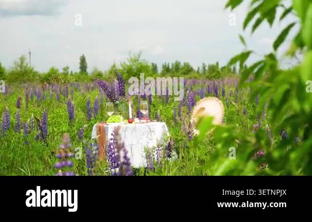 Table set for two with wine glasses in a field of purple lupine flowers ...