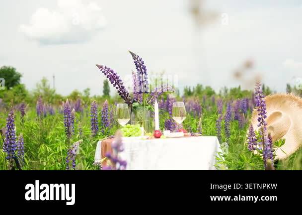 Table set for picnic with wine and flowers in a field Stock Video ...