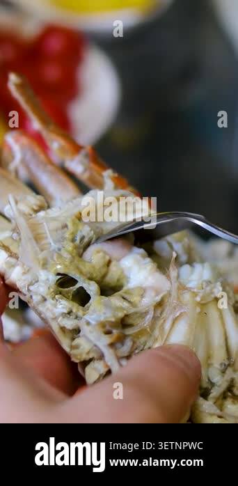 eat crab take apart crab. woman breaks up a cooked crab and prepares it ...