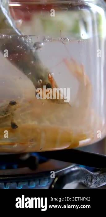 recipe cooking process video set to cook shrimp. boil shrimp pot. High ...