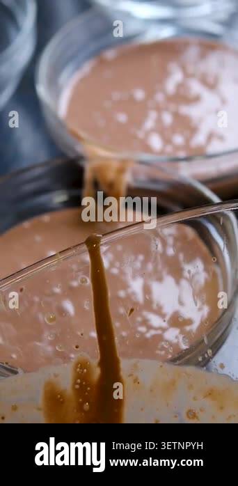 Dark chocolate Panna Cotta dessert chocolate jelly preparing a dessert ...