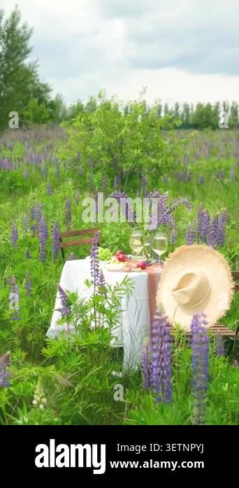 Table set for a picnic with wine and food in a field of purple lupine ...