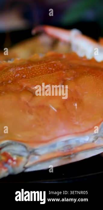 eat crab take apart crab. woman breaks up a cooked crab and prepares it ...