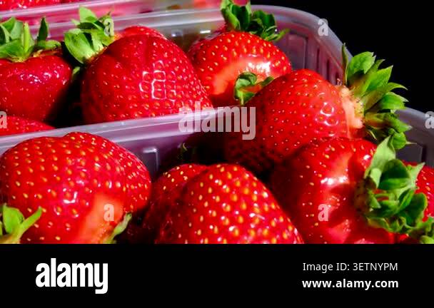 Bright red strawberries in portioned plastic containers showcase ...