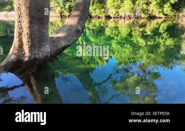 Slow motion retreat from a vibrant riverside scene revealing emerald ...