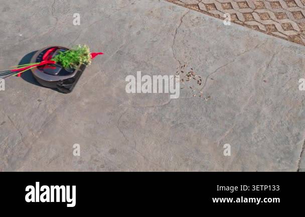 Robot vacuum cleaner carrying a flower bouquet with red ribbon drives ...