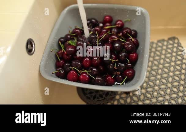 Fresh dark red cherries with green stems being washed with running ...