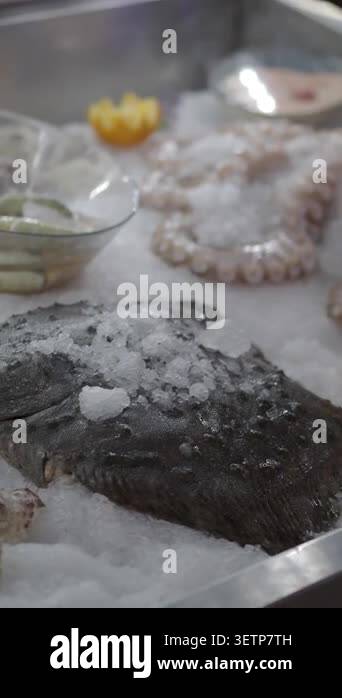Various fish and seafood on ice at the market for buyers Stock Video ...