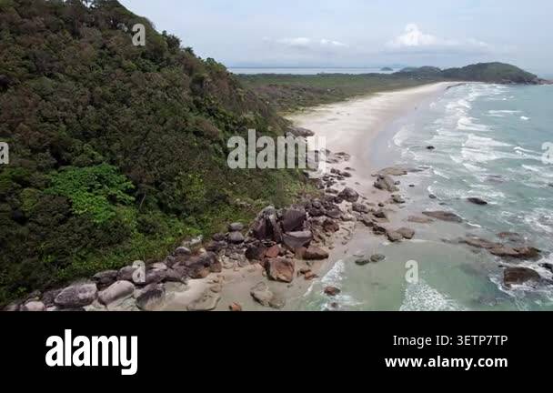 Aerial view of a beautiful, pristine beach with a deep green forest and ...