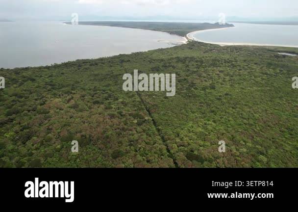 Aerial view showcase a green coastal forest and beaches; a mix of calm ...