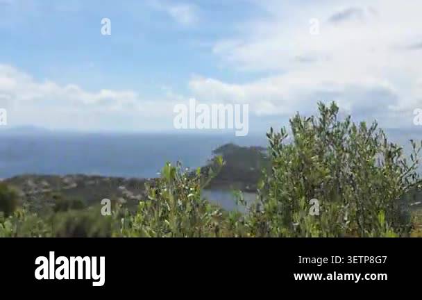 Camera rises above dense shrubs to reveal a stunning coastal landscape ...